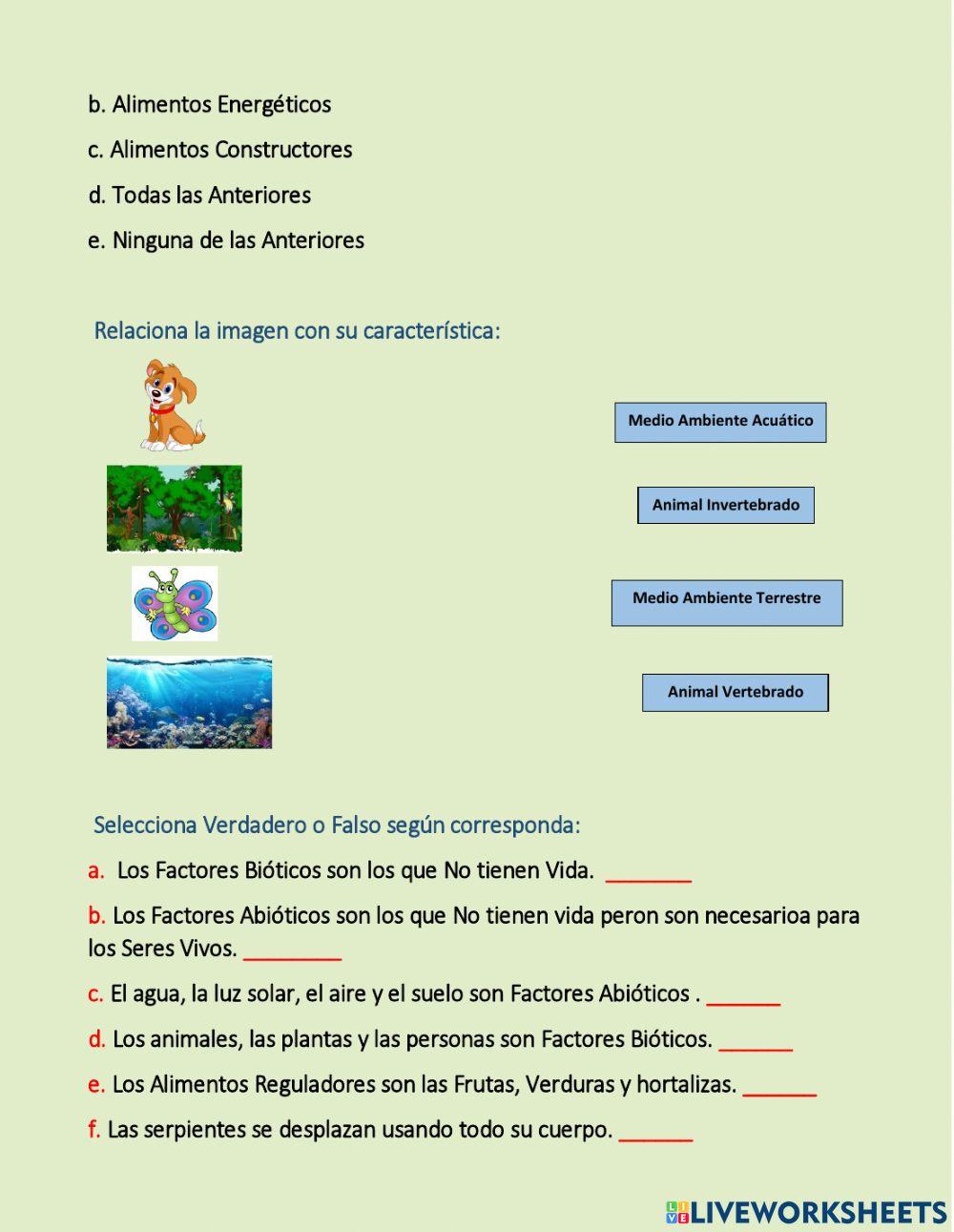 Características de los Seres Vivos free activity | Live Worksheets