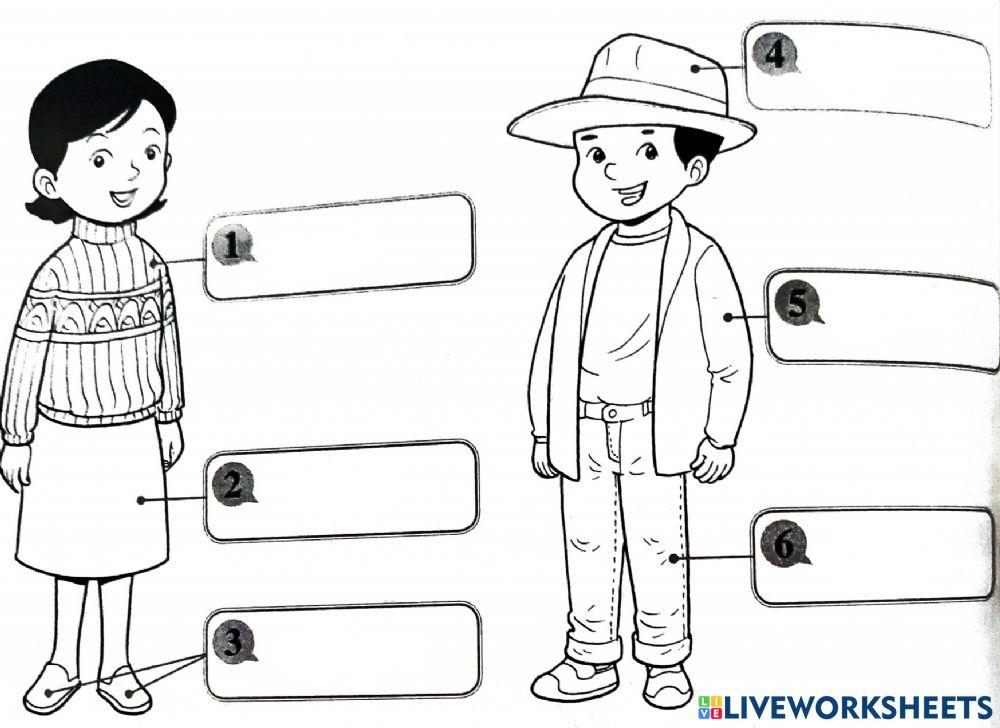 Year 2 Clothese worksheet | Live Worksheets