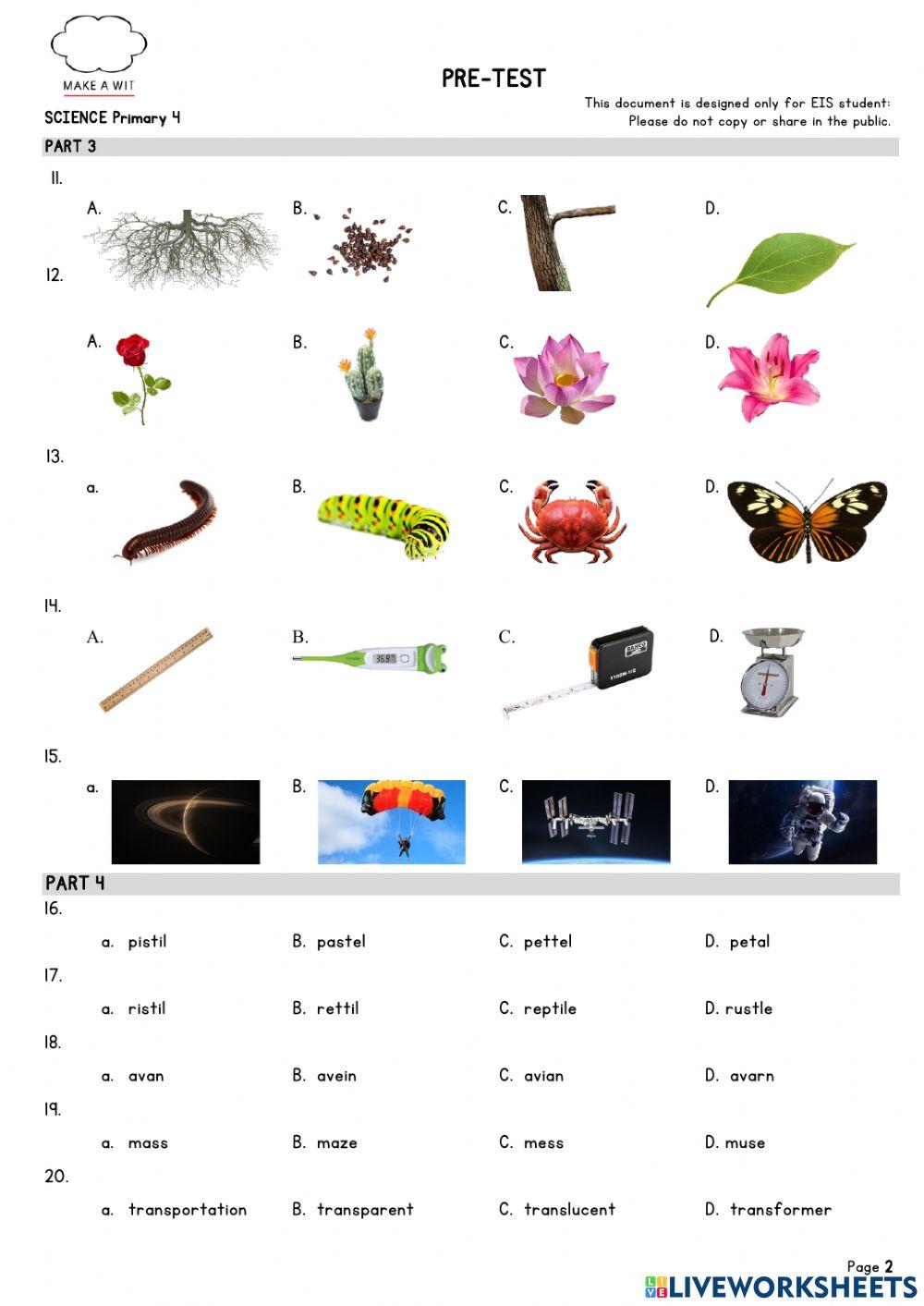 EIS P4 Pre-test Science by Teacher Gym worksheet | Live Worksheets