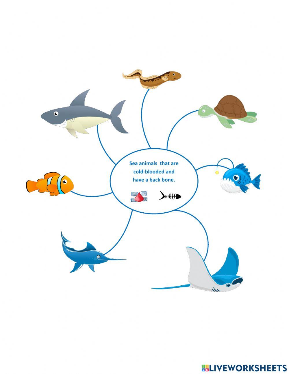 21 sea animals part 2 1242123 | englishtreevn | Live