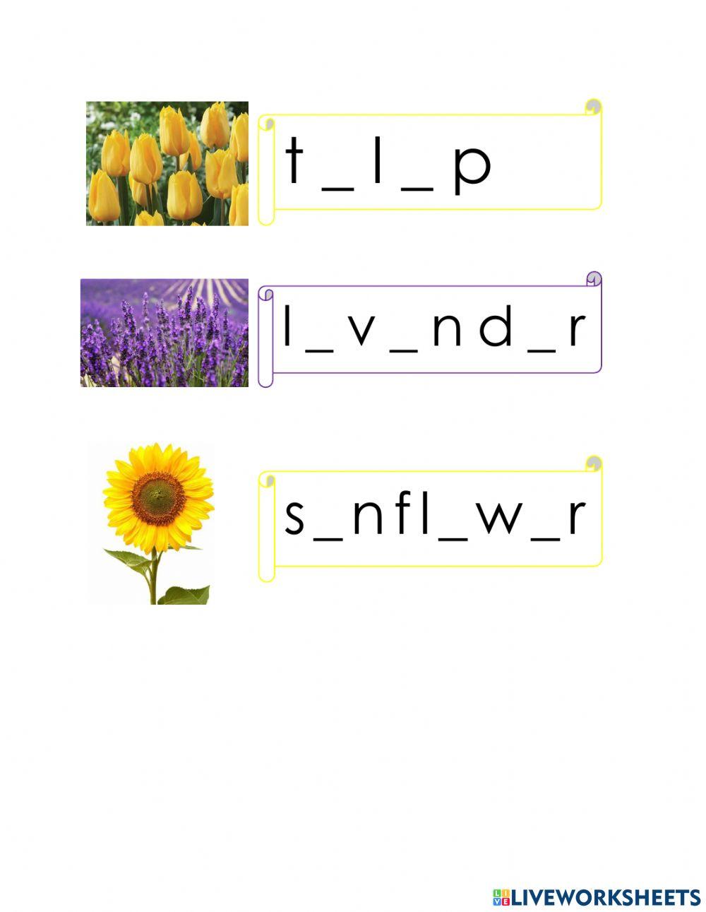 Spelling With Flowers worksheet | Live Worksheets