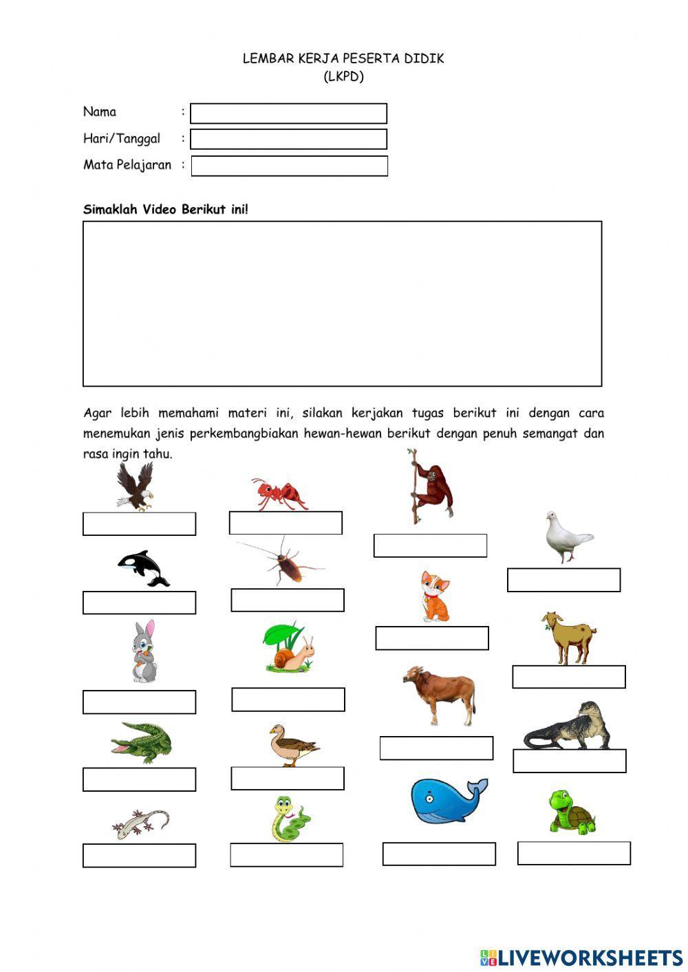 LKPD vivipar worksheet | Live Worksheets
