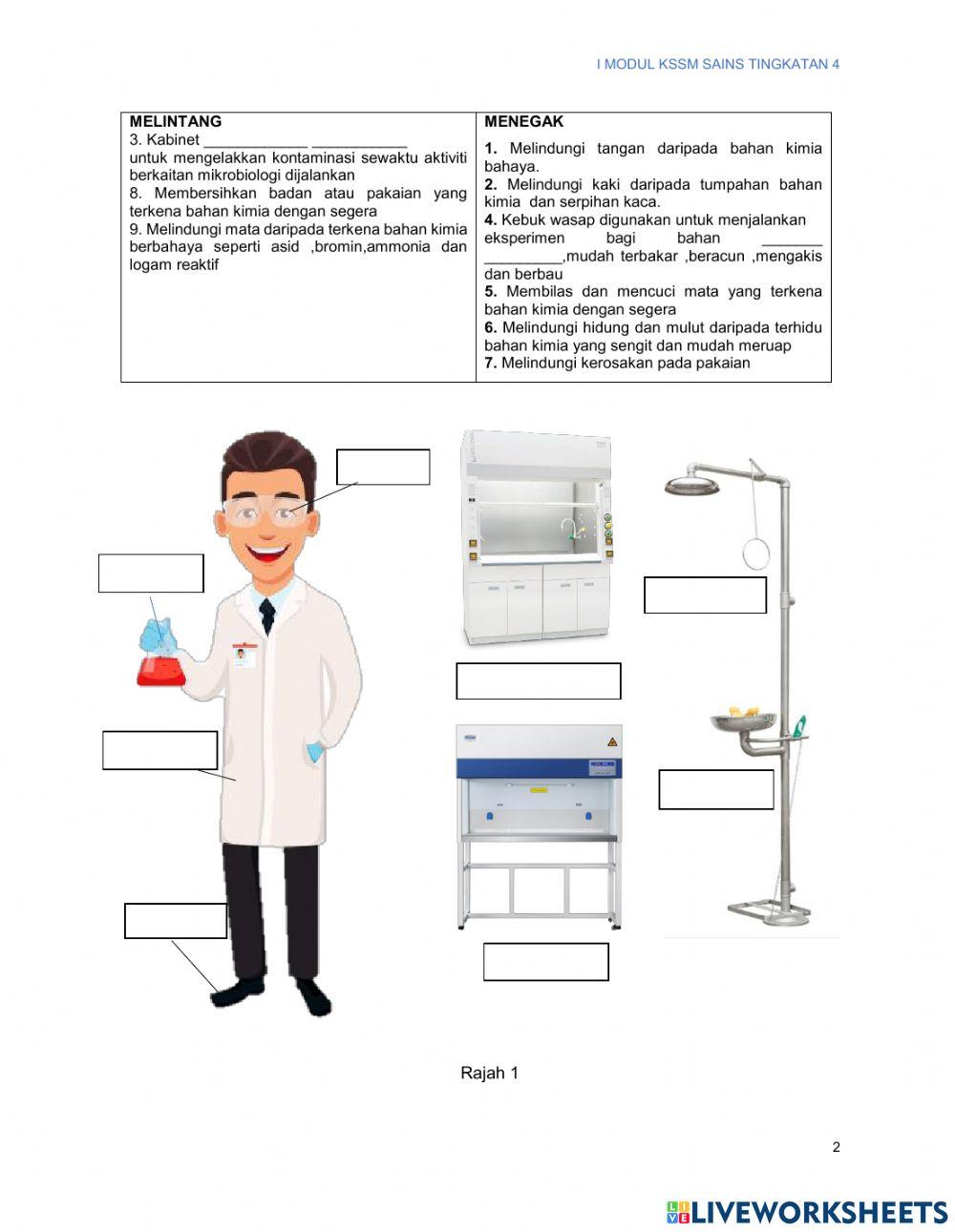 T4 B1 liveworks… | Free Interactive Worksheets | 1244405
