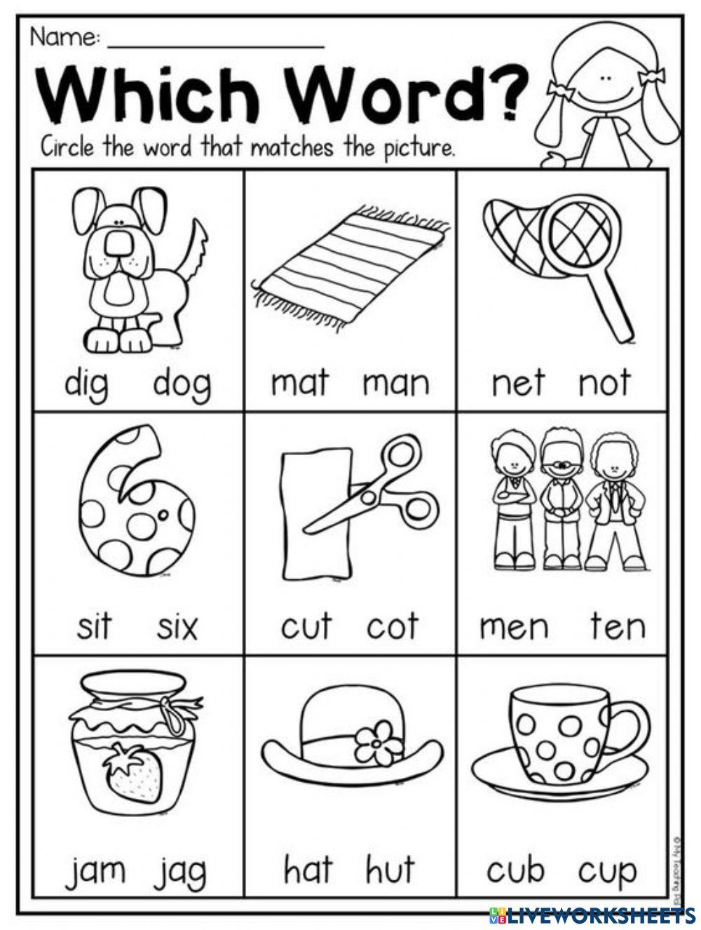 1244456 Cvc Words Tasneem Bankoda Liveworksheets