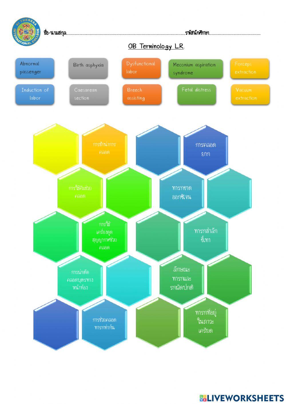 LR OB terminology online exercise for | Live Worksheets