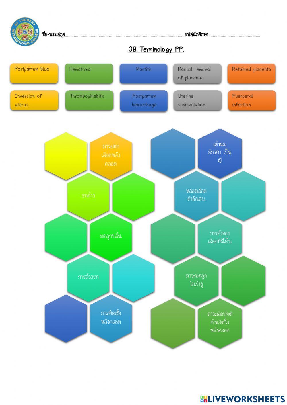 PP OB terminology online exercise for | Live Worksheets