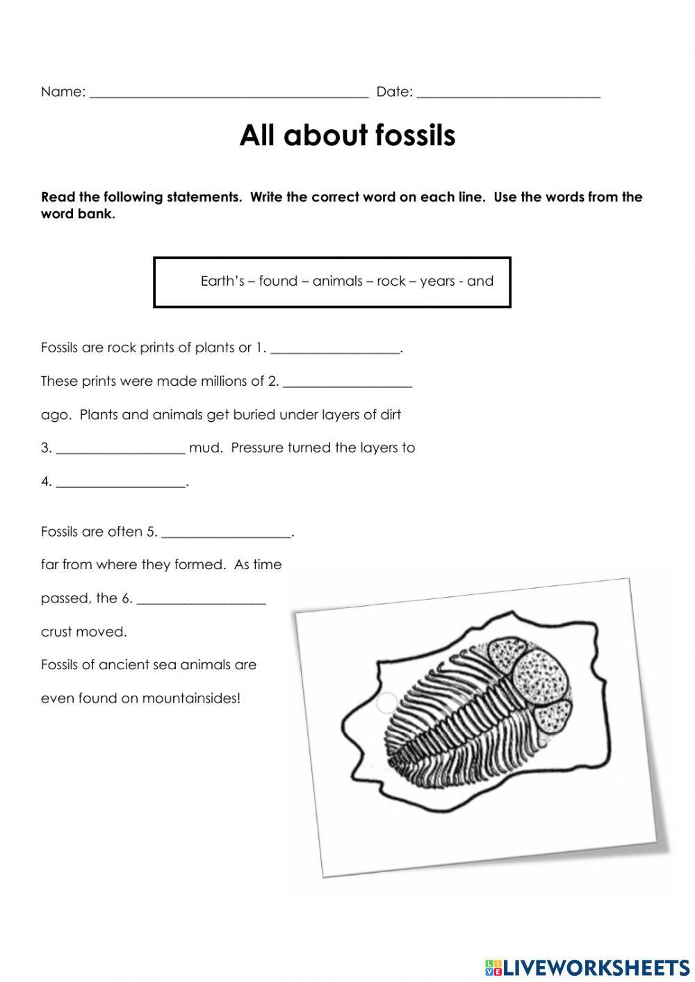 Fossils Worksheet 1245848 Montserrat Mora Miralles