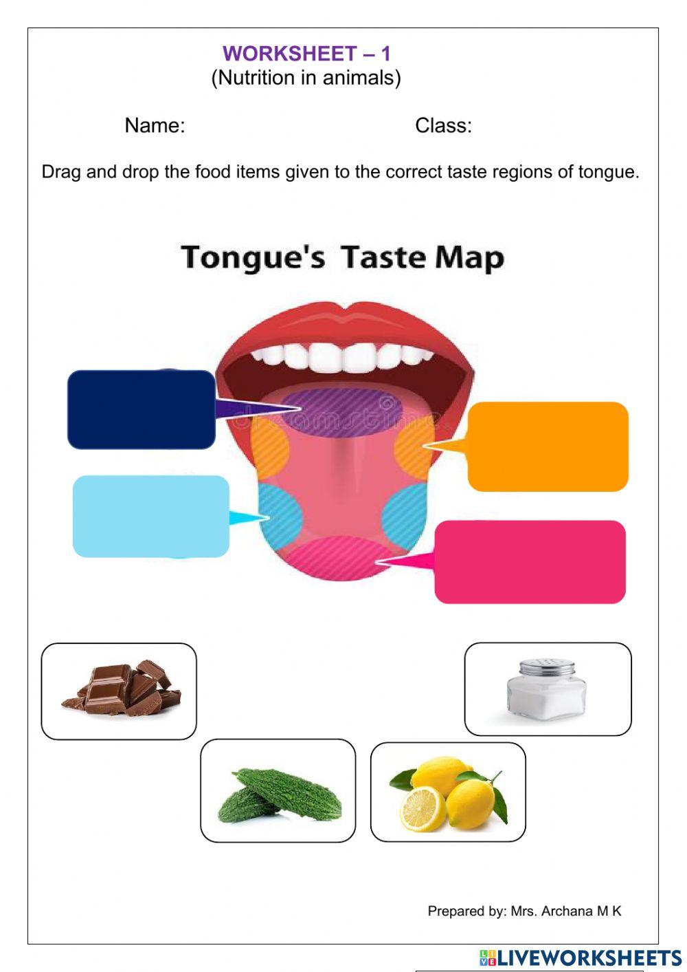 Locating Taste buds interactive worksheet | Live Worksheets