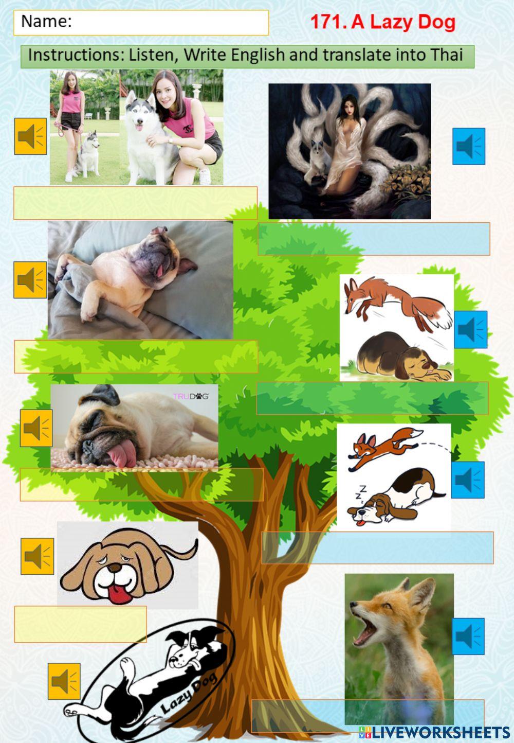 A Lazy Dog worksheet | Live Worksheets