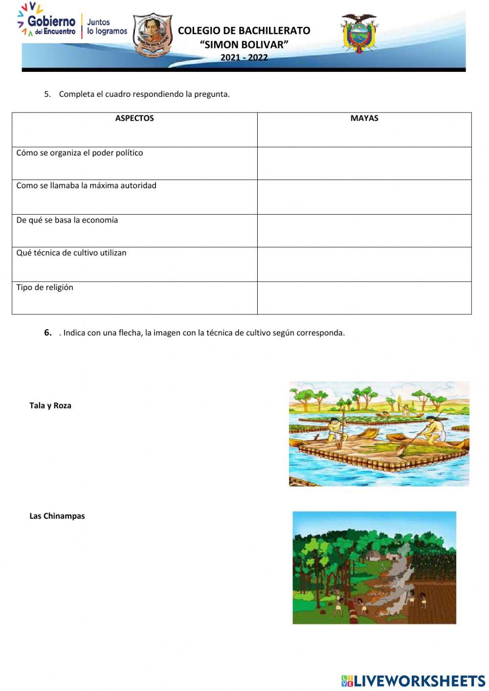 1339306 | Los mayas | Jackson Vera | LiveWorksheets