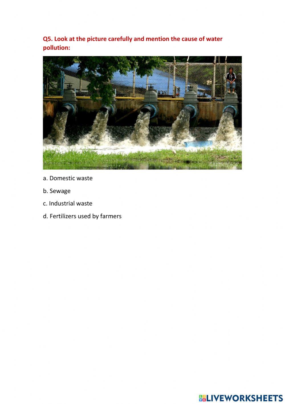 1339176 | Water pollution worksheet | JAGVINDER KAUR