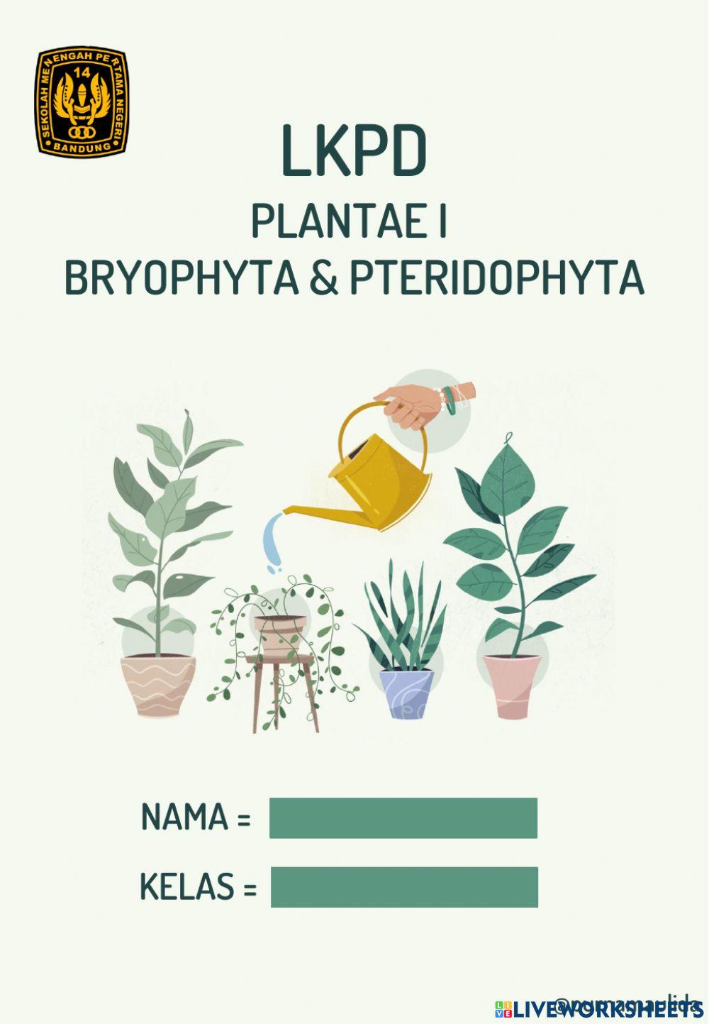 Plantae 1 - bry… | Free Interactive Worksheets | 1339331