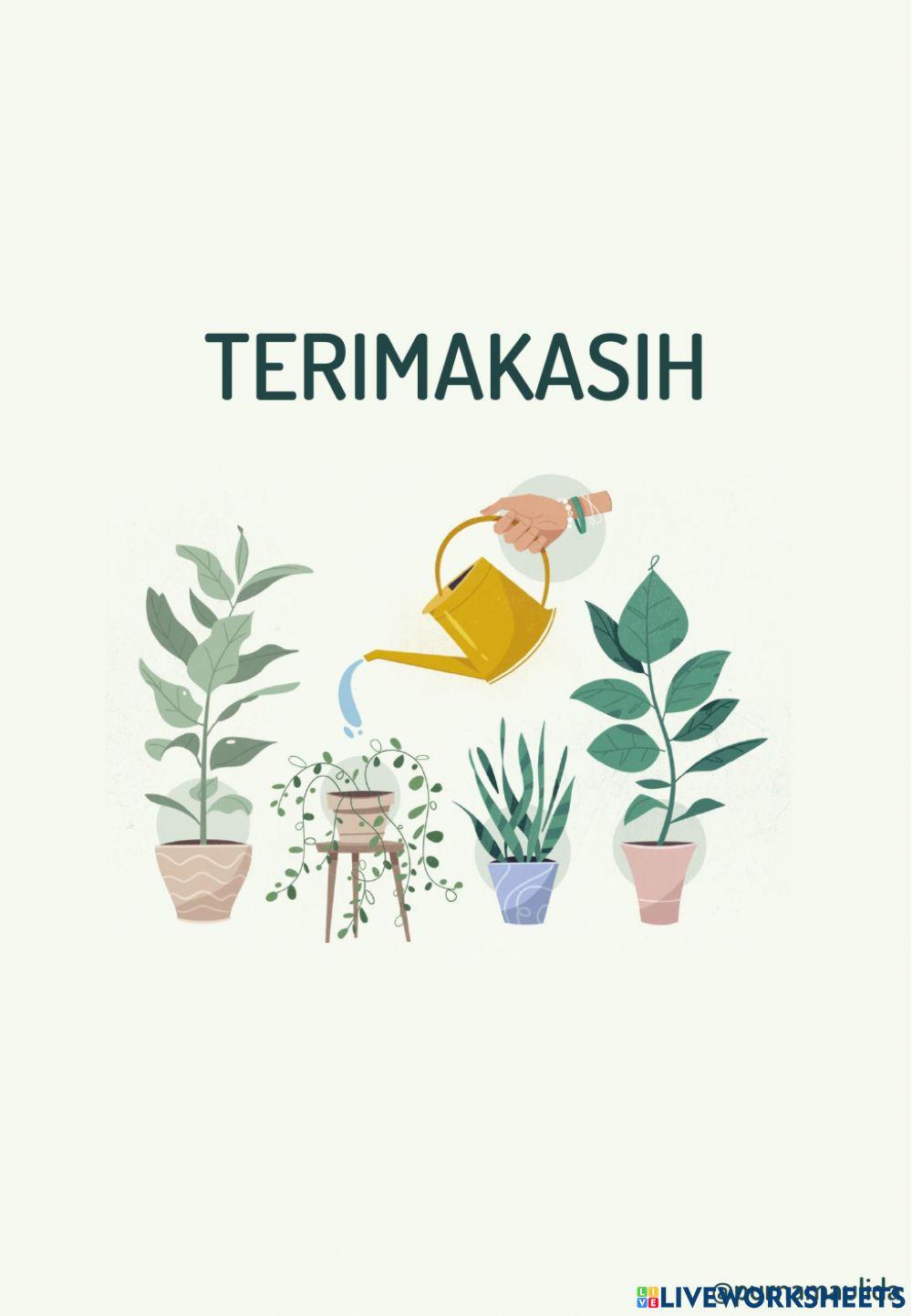 Plantae 1 - bry… | Free Interactive Worksheets | 1339331