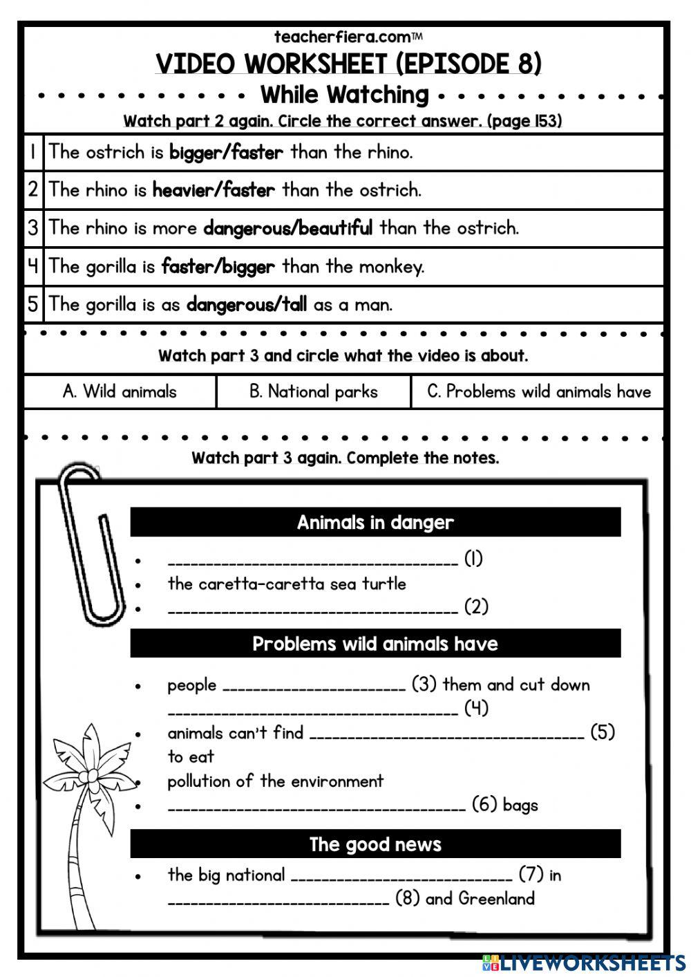 CEFR Year 4 Video Worksheet Episode 8 Part 2 worksheet | Live Worksheets