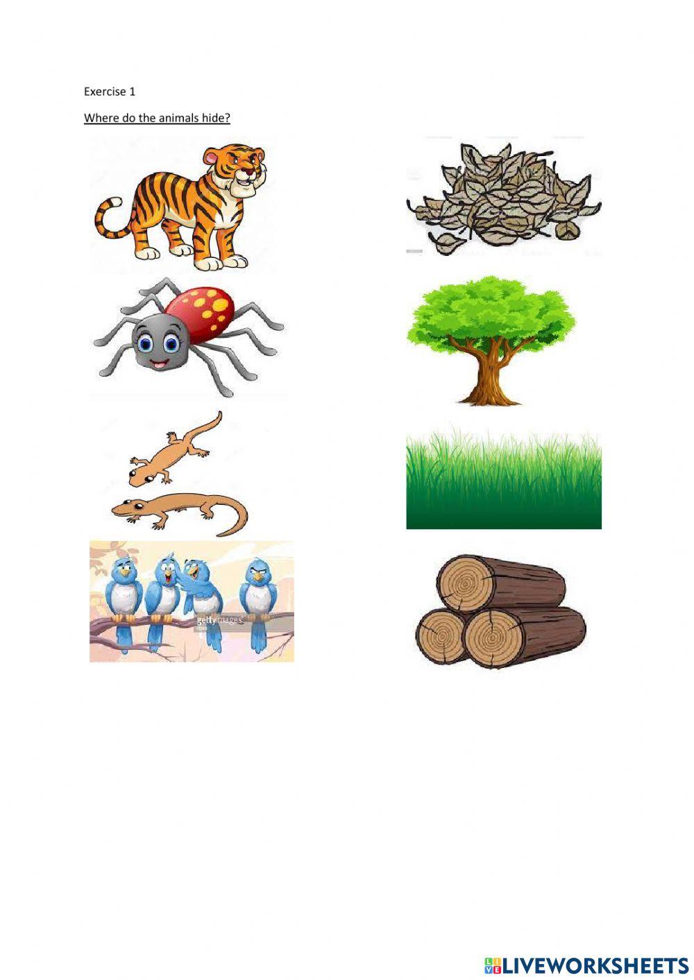 Pet Show online activity for primary | Live Worksheets