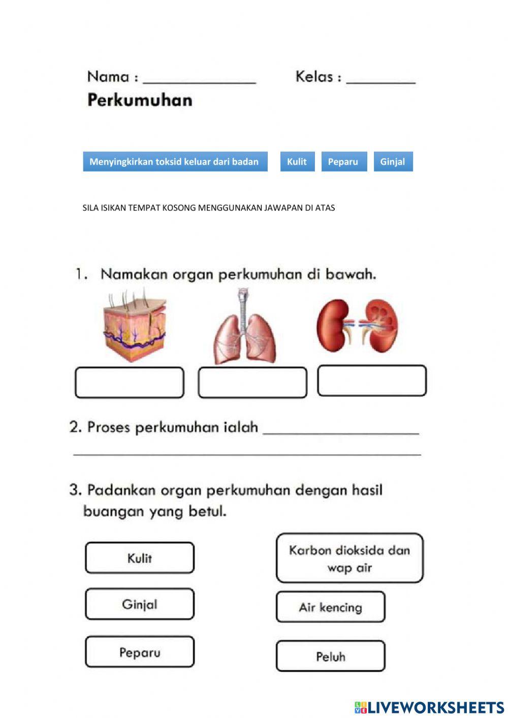 Perkumuhan dan Penyahtinjaan Manusia Sains Tahun 4 online exercise for ...