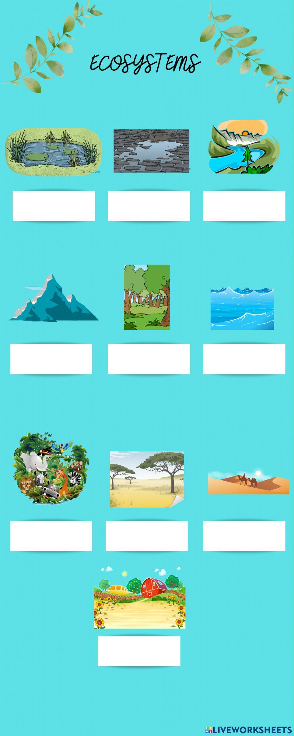 Ecosystems | Free Interactive Worksheets | 1340449