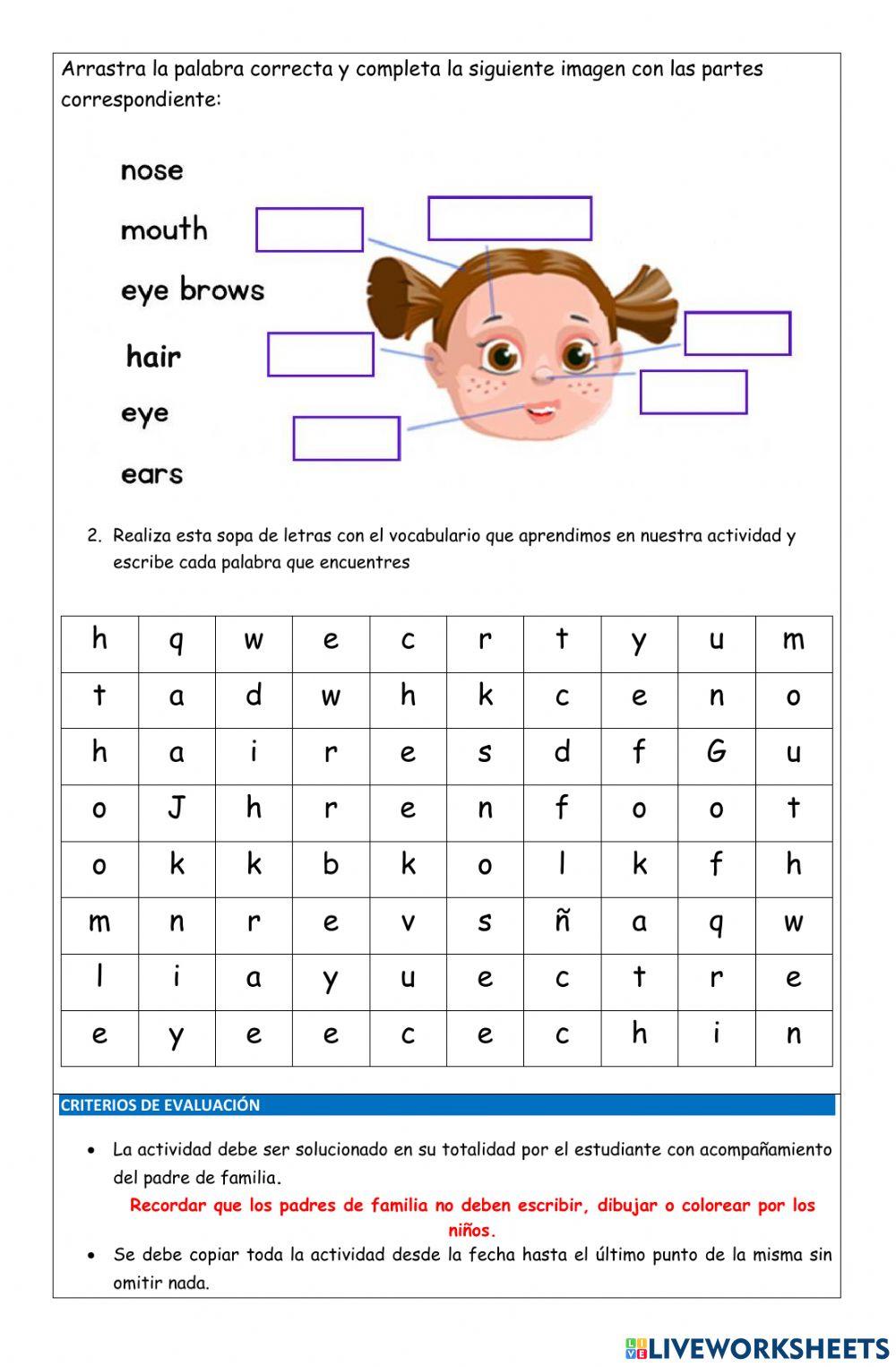 1376871 | Partes de la cara | OLGA YUNARY PRIETO