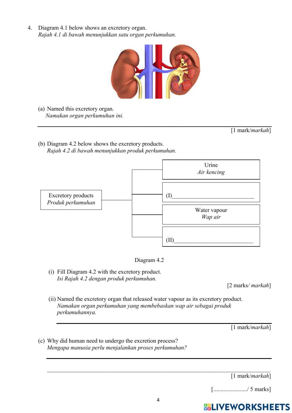 Year 4 Science … | Free Interactive Worksheets | 1377336