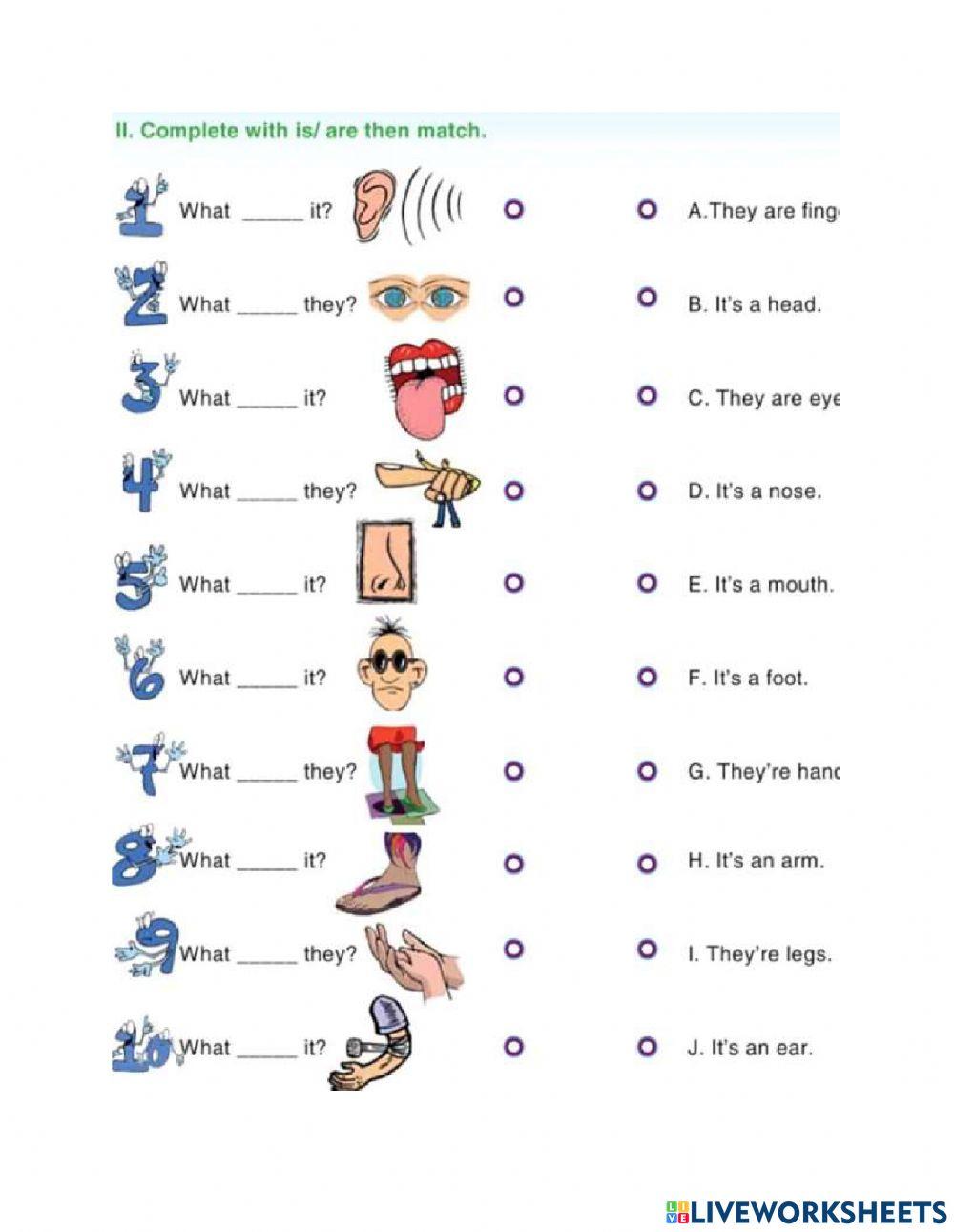 3885851 | Starters practice test 1 part 2:matching | Mai