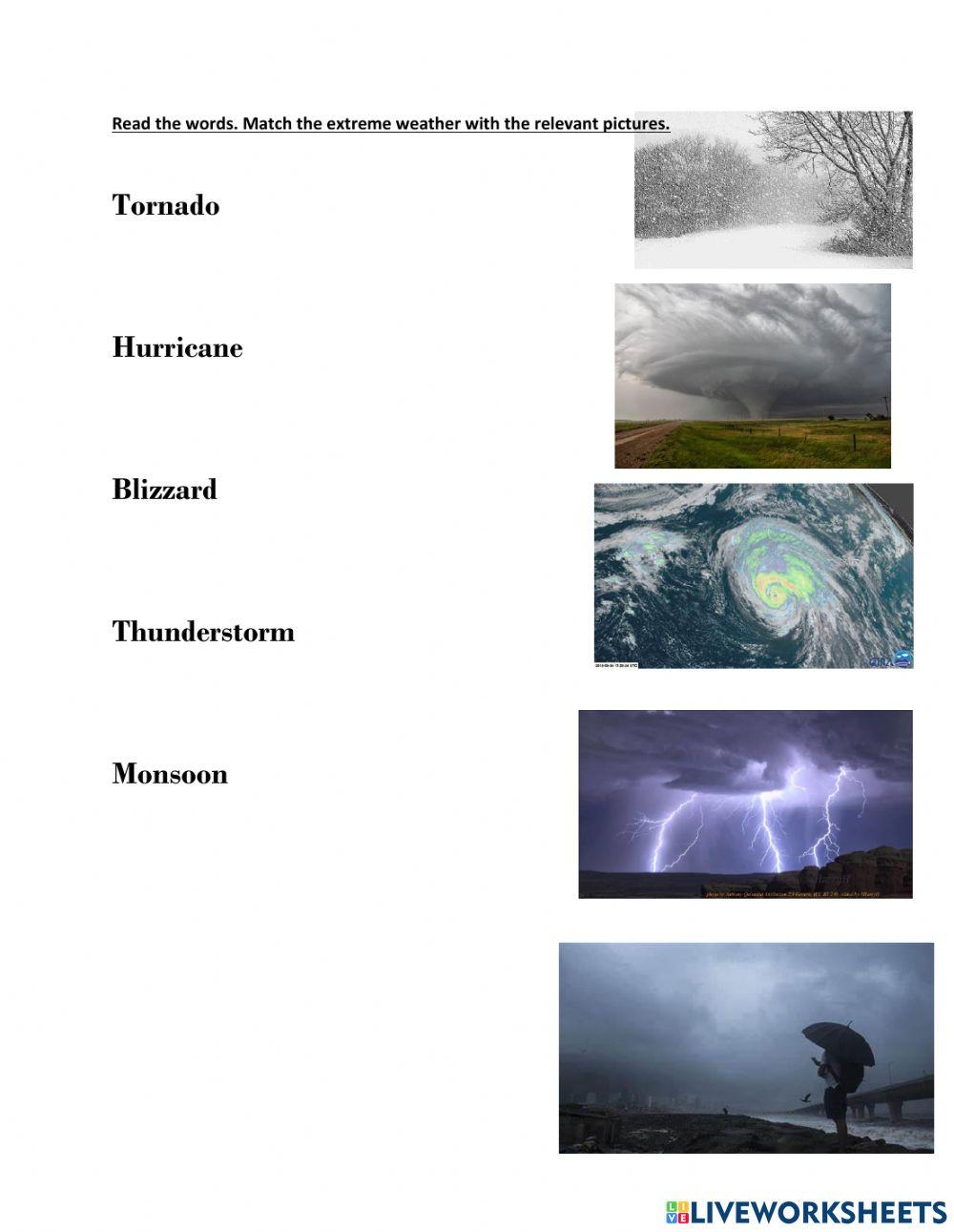 Science online exercise for 2 | Live Worksheets