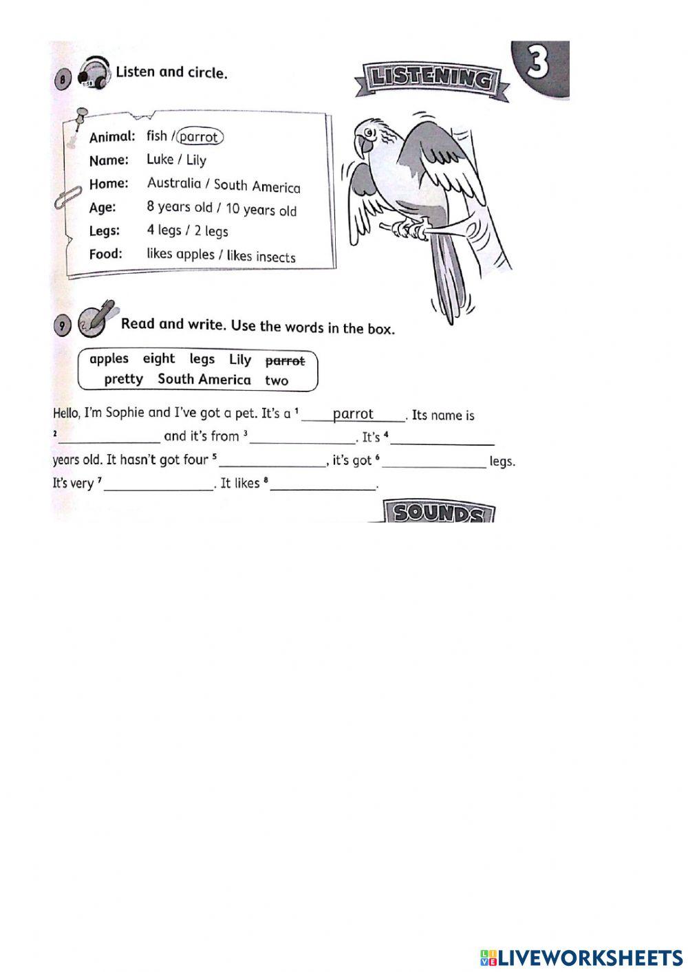 P3 aB activity | Live Worksheets