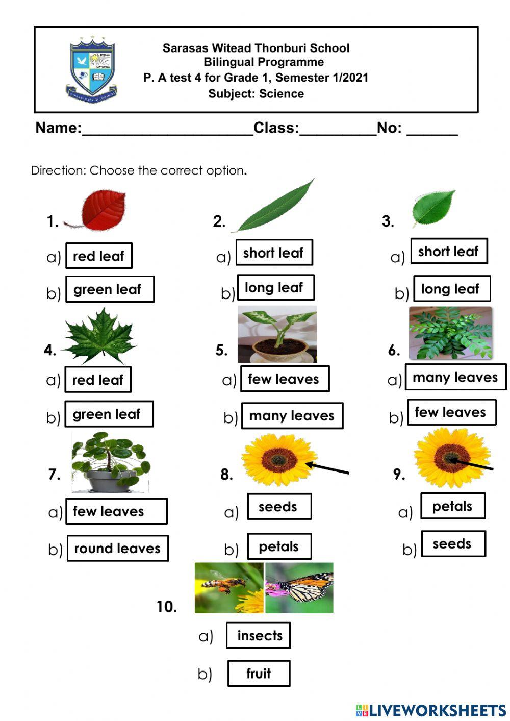 Science 1 1382009 | Gemaree | Live Worksheets