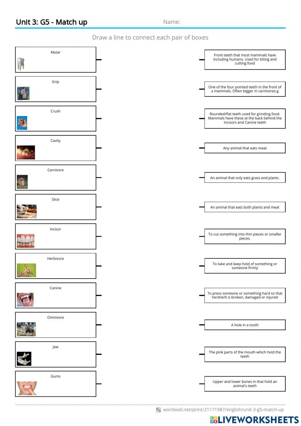 G5: Unit 3 definition match 5161403 | lhutchinson86