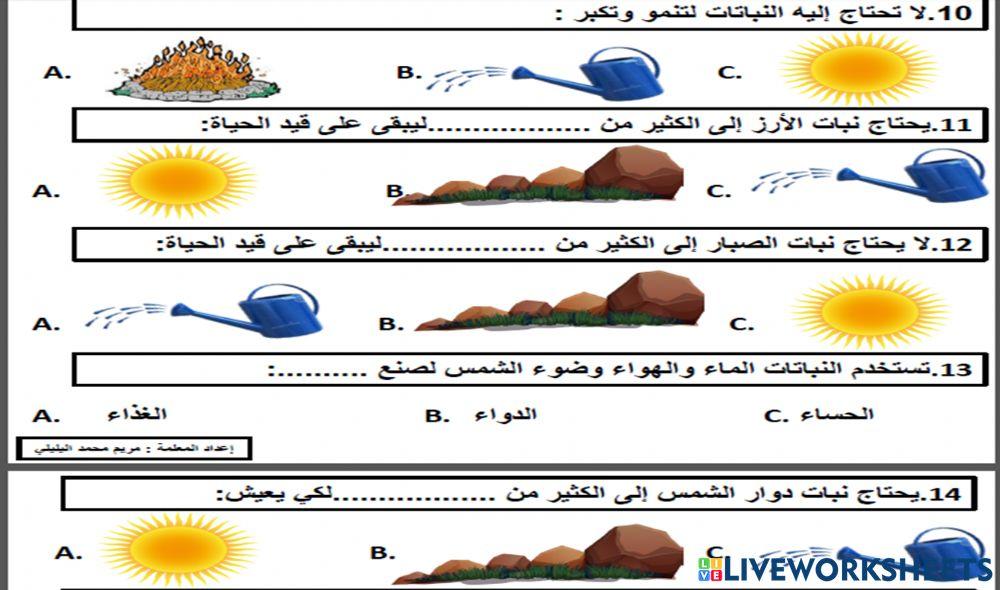 Dd online pdf activity | Live Worksheets