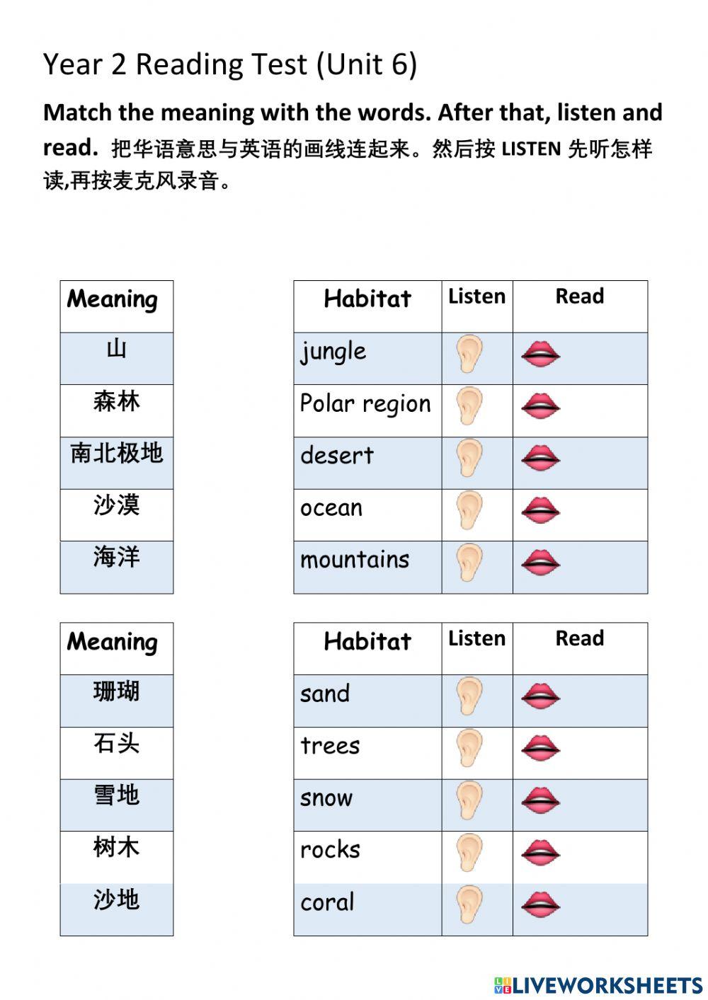 year2 english worksheet | Live Worksheets