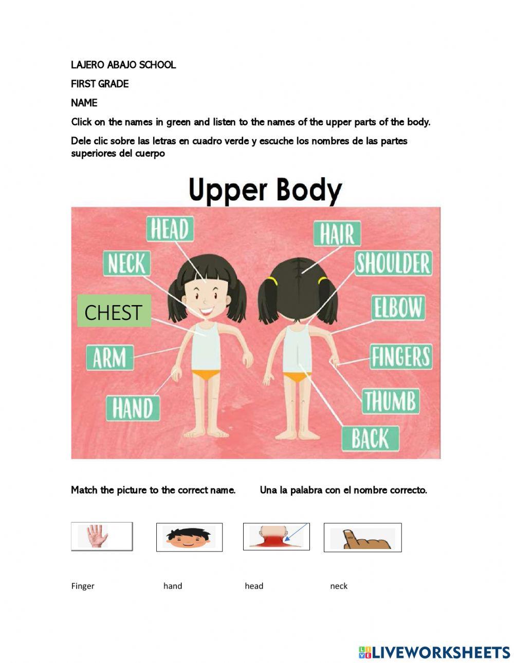 UPPER PARTS OF THE BODY 3893764 | AmarilisGomez72 | Live