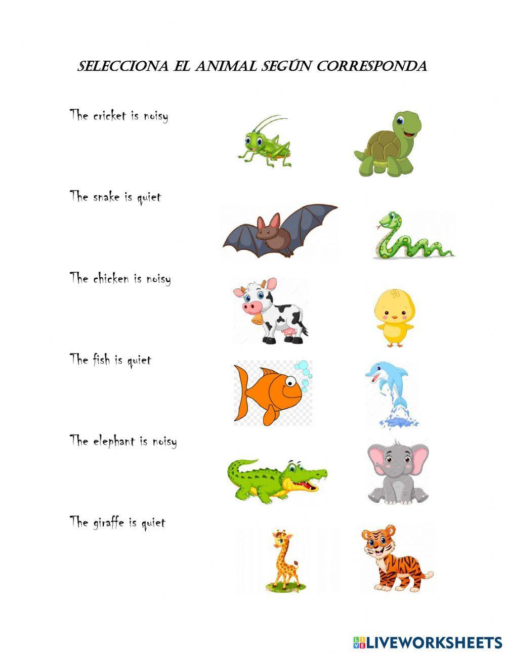 Noisy & Quiet | Free Interactive Worksheets | 1384313