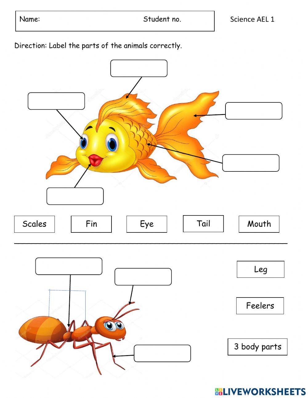 Animal Body parts online exercise for | Live Worksheets