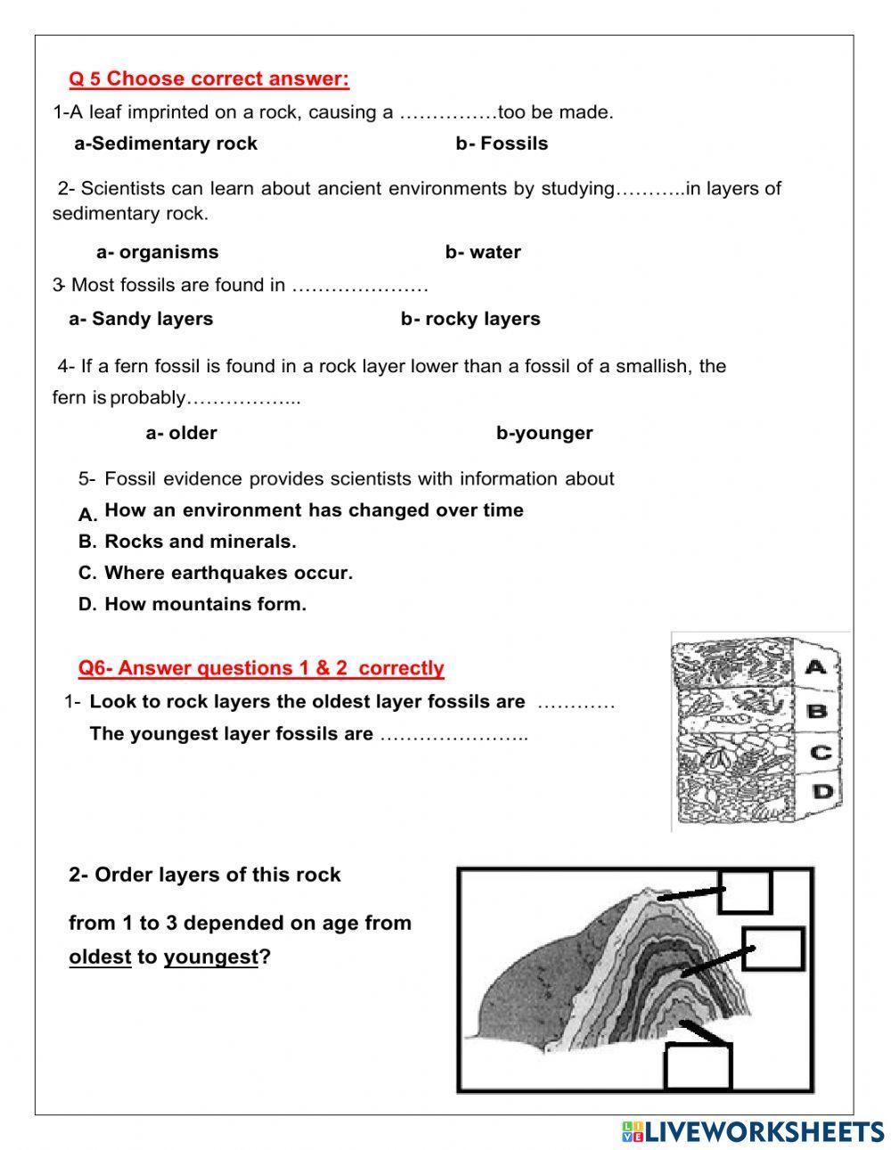 Evidence from r… | Free Interactive Worksheets | 1385091