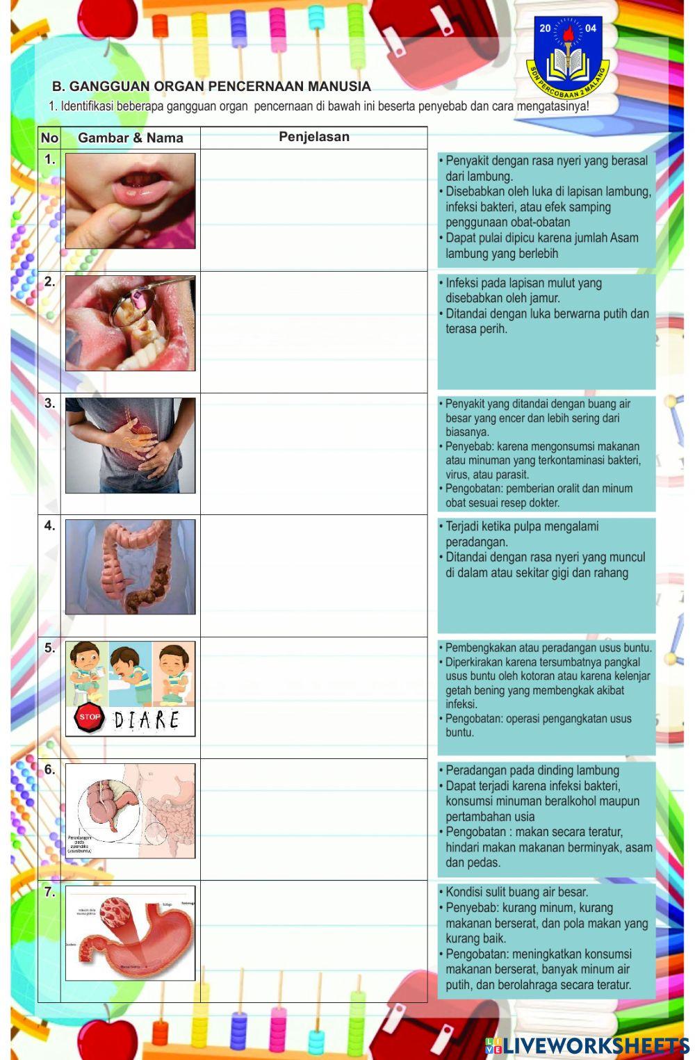 Lkpd t3s2 bind … | Free Interactive Worksheets | 1385435