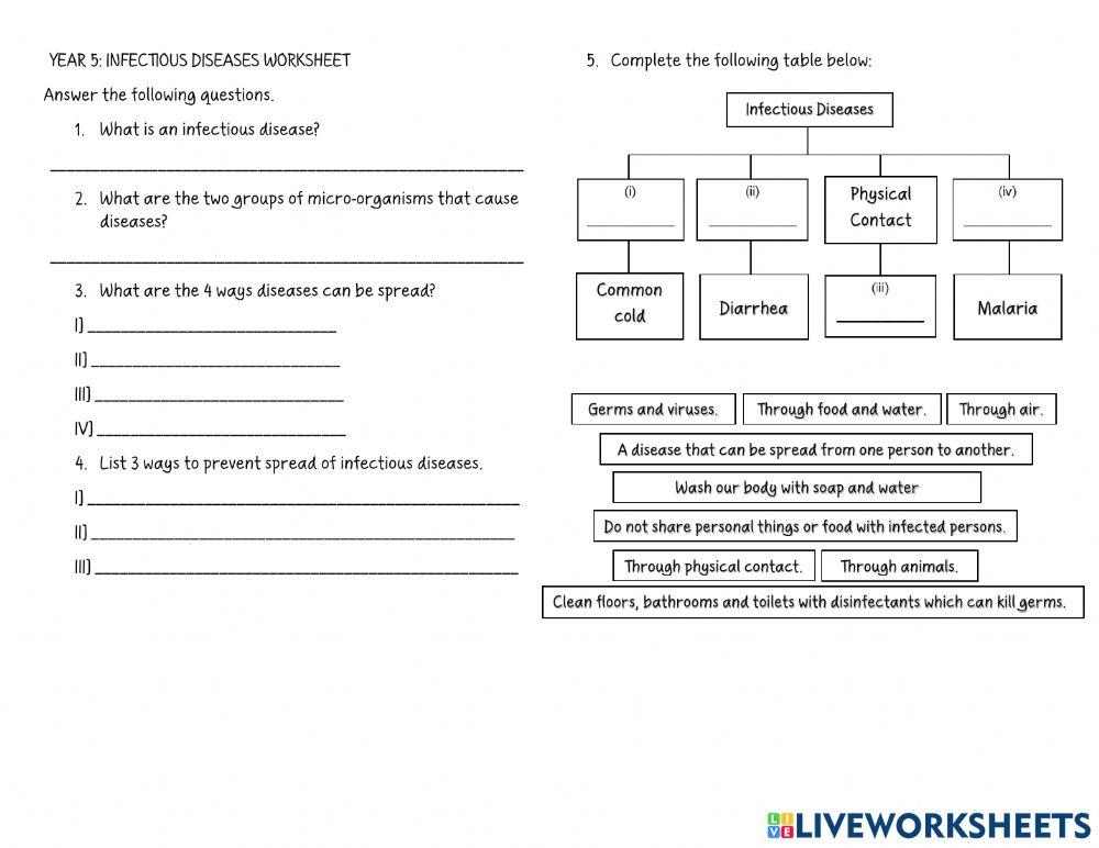 3898116 | YEAR 5 INFECTIOUS DISEASE WORKSHEET | sujimah
