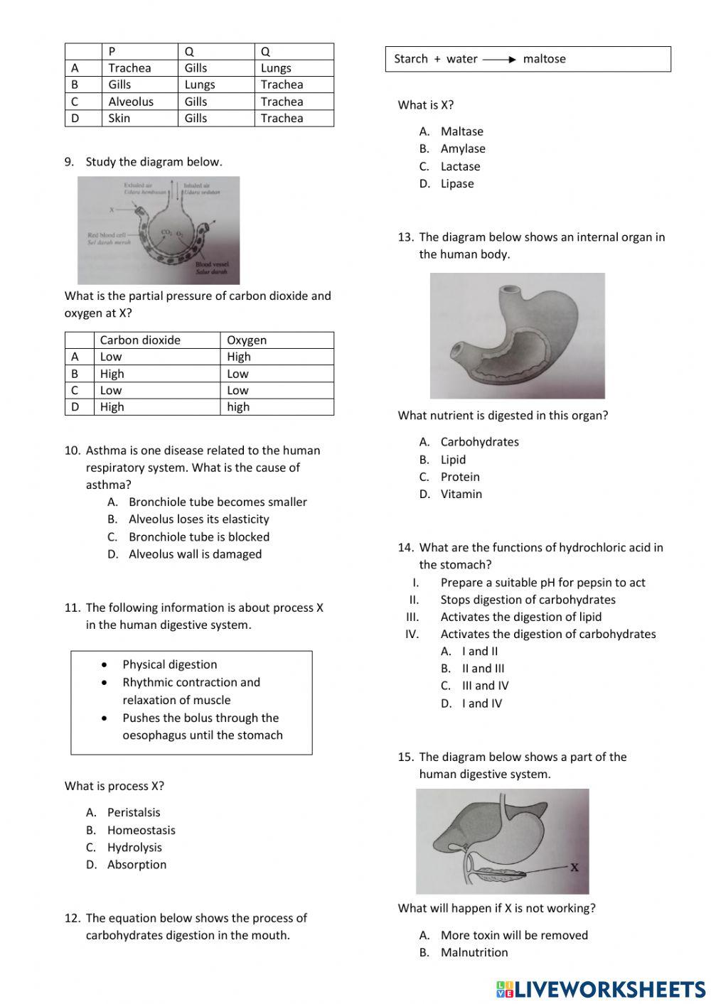 Biology paper 1 chapter 8 and 9 form 4 worksheet | Live Worksheets