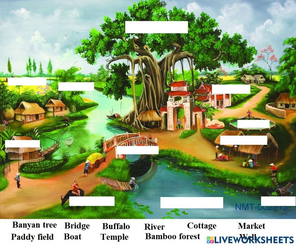 The countryside online exercise for | Live Worksheets