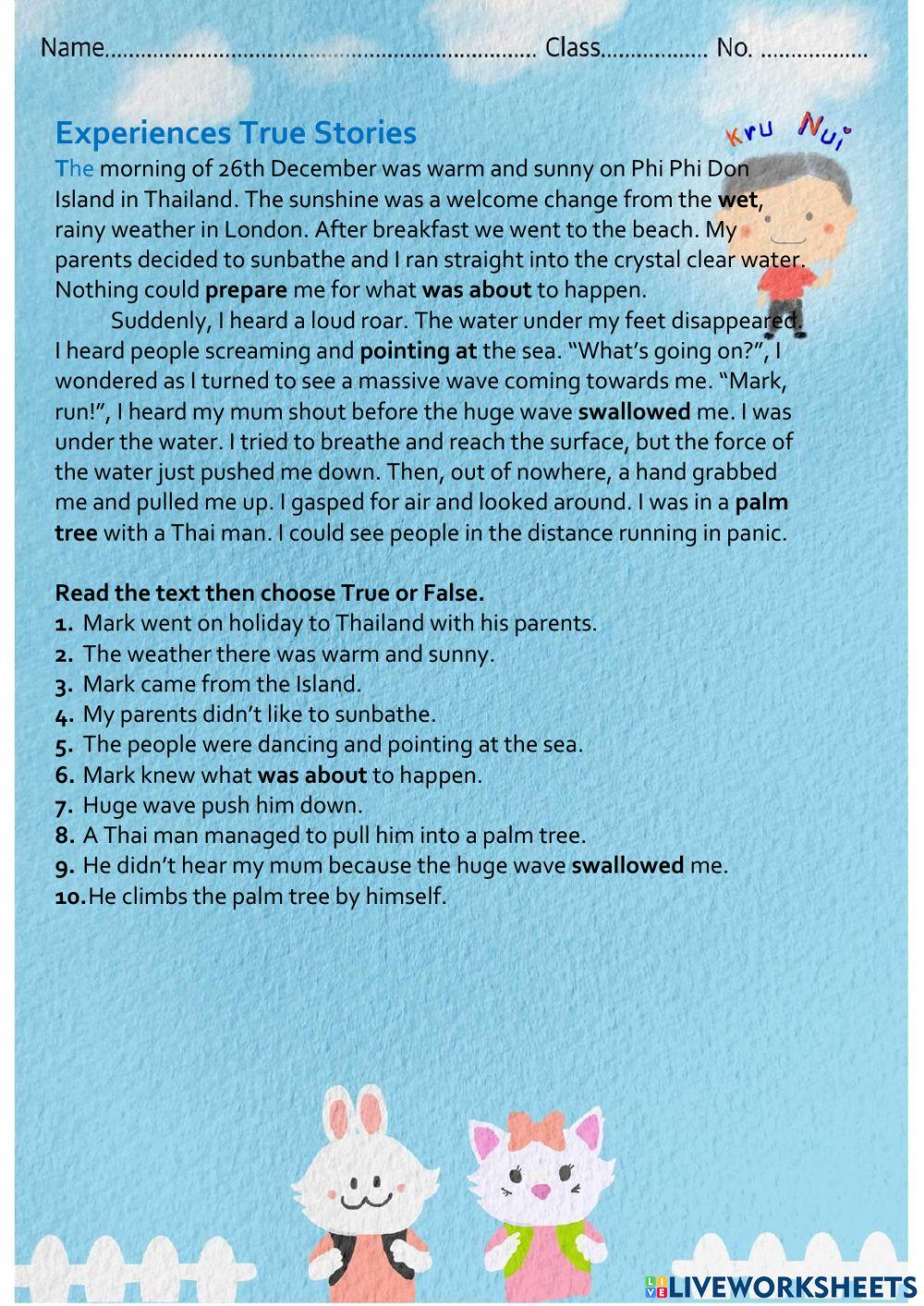 3904008 | Experiences true story tsunami True or False By