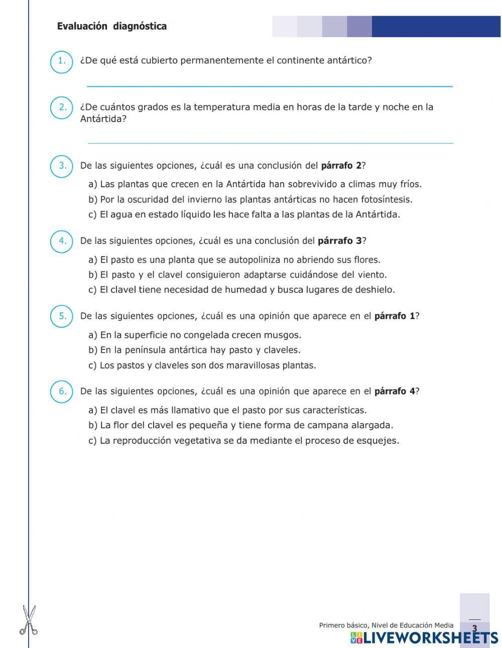 Evaluación Diagnostica Primero Básico Online Exercise Live Worksheets