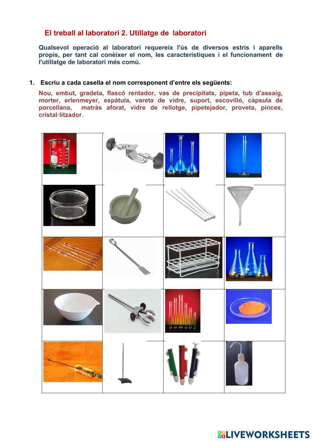 Material de laboratori worksheet | Live Worksheets