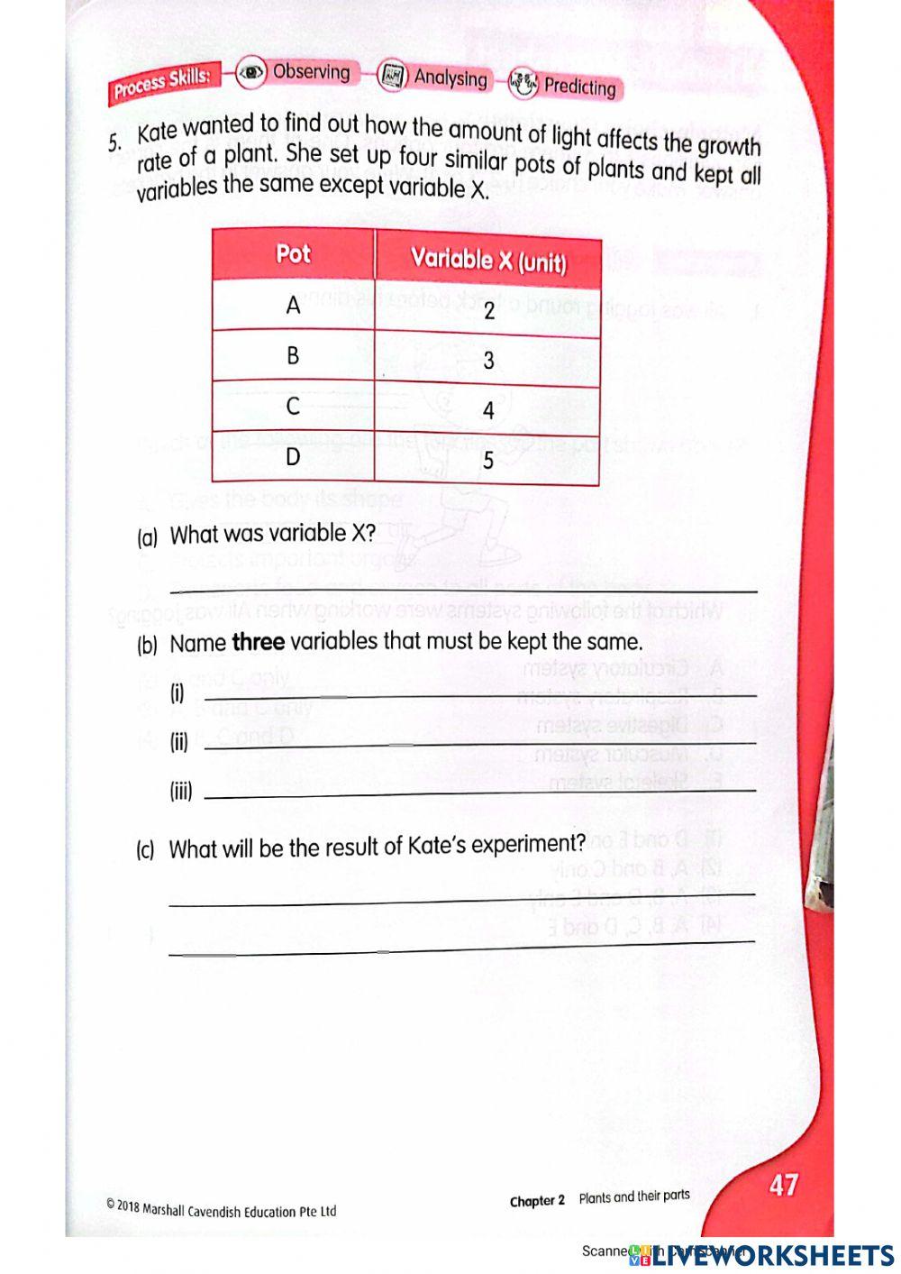 3908942 | P4 Process Skills Worksheet Chapter 2 Plants