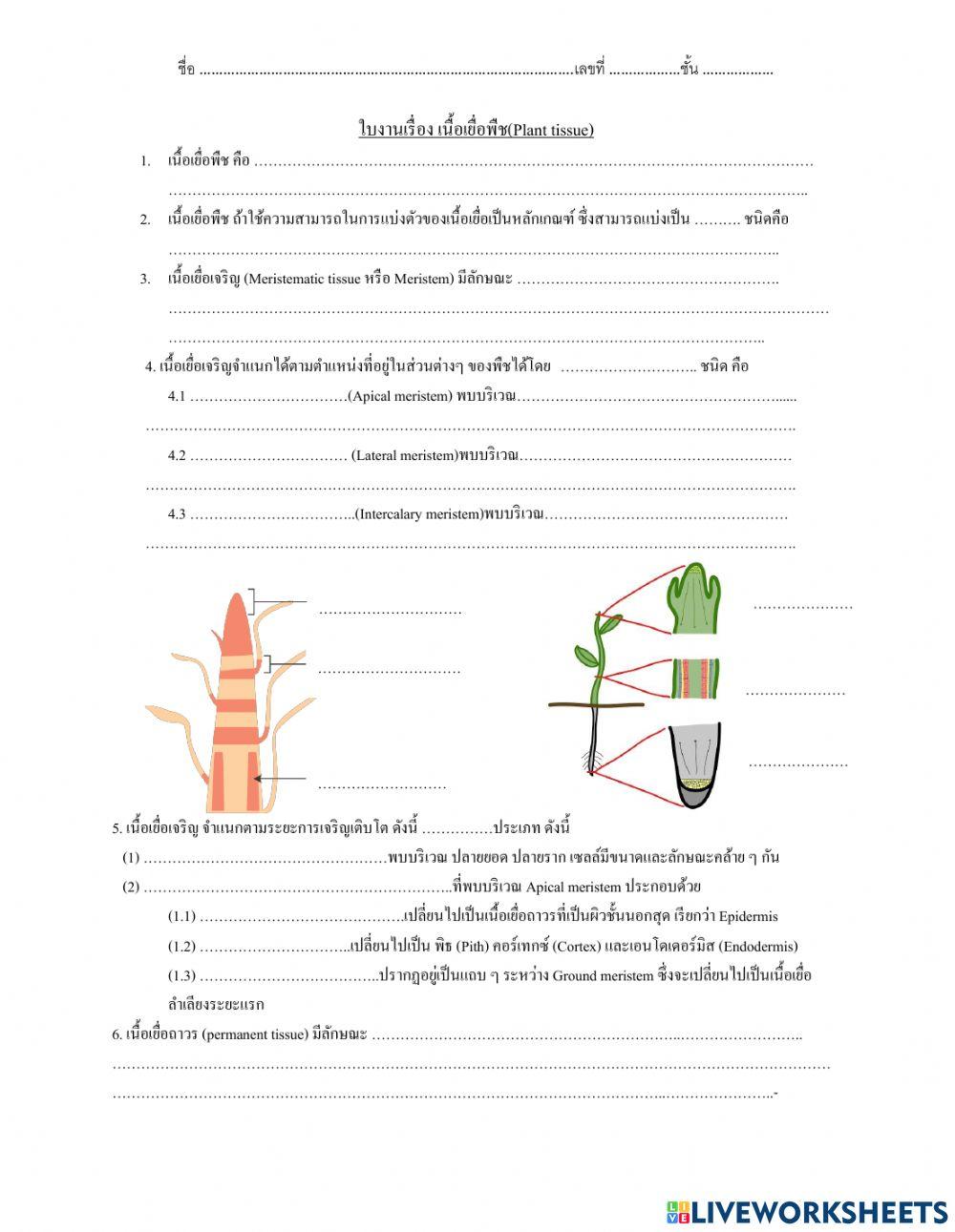 ฺBiology M.5 interactive worksheet | Live Worksheets
