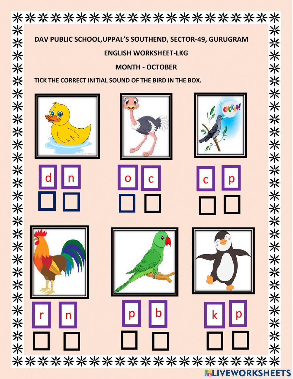 Birds and their initial sounds interactive worksheet | Live Worksheets