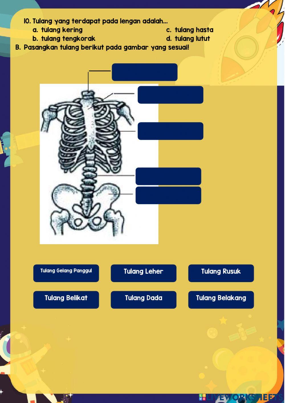 Ulangan harian tema 1 ipa worksheet | Live Worksheets