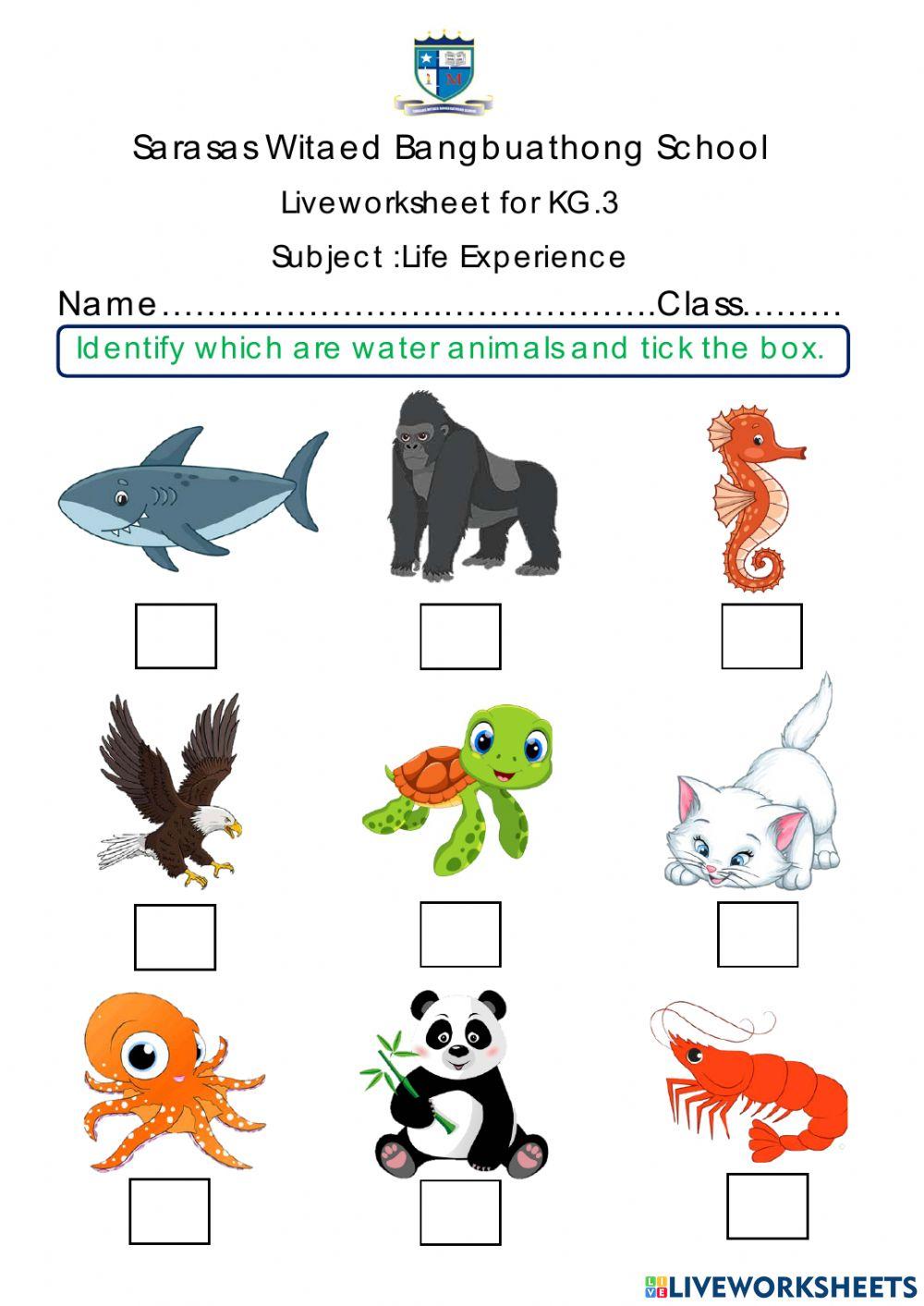 Life: Water Animals online exercise for | Live Worksheets