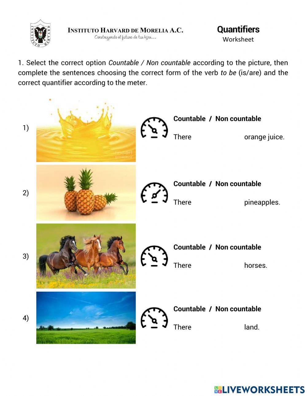 Quantifiers | Free Interactive Worksheets | 1394285