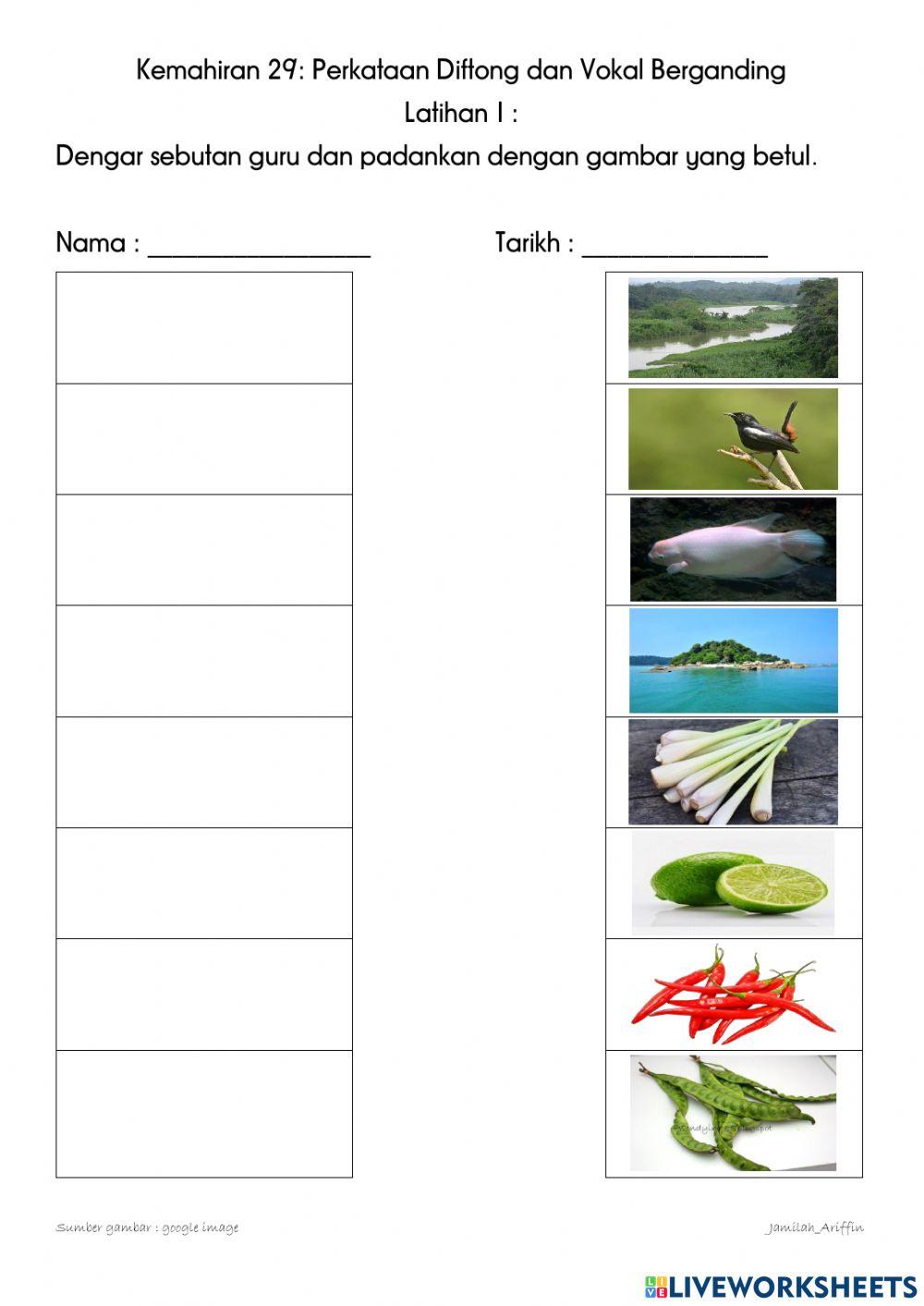 1397756 | Kemahiran 29: diftong dan vokal berganding