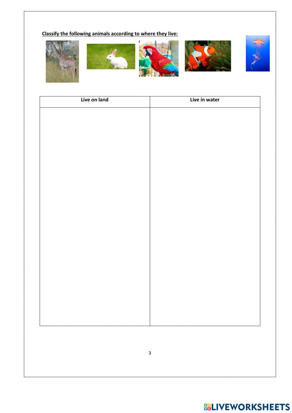 Classification Activity Grade 4 1434 | mai_mahmoud