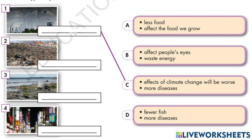Affects of Poll… | Free Interactive Worksheets | 6714519